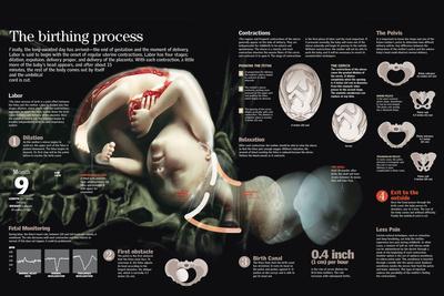 'The birthing process.' Photographic Print | AllPosters.com