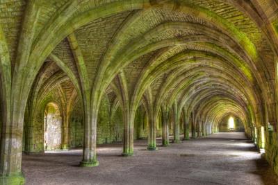'The Cellarium' Photographic Print - Miles Ertman | AllPosters.com