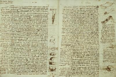 'The Codex Hammer' Giclee Print - Leonardo da Vinci | AllPosters.com