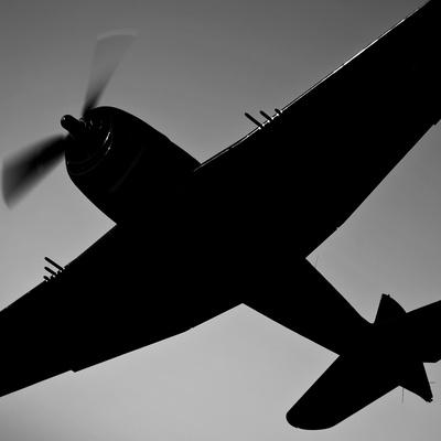 'The Commemorative Air Force's F6F-5 Hellcat in Flight' Photographic ...