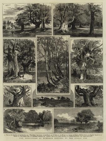 'The Dedication of Burnham Beeches to the Public Use' Giclee Print ...