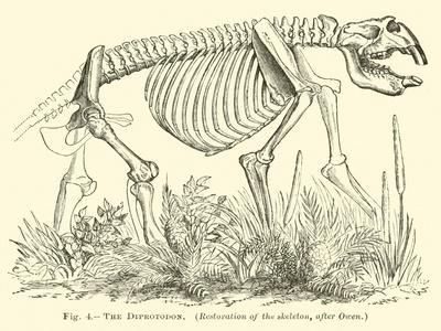 'The Diprotodon' Giclee Print | AllPosters.com