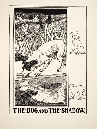 'The Dog and the Shadow, from A Hundred Fables of Aesop, Pub.1903 ...