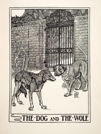 'The Dog and the Wolf, from A Hundred Fables of Aesop, Pub.1903 ...