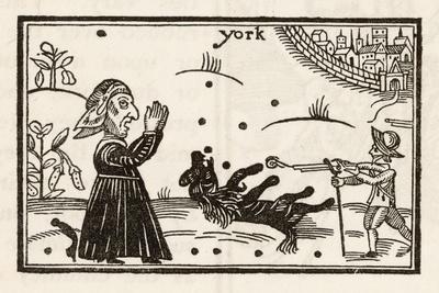The Dog of Prince Rupert of the Rhine Prints | AllPosters.com