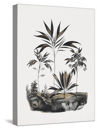 'Exotic Terrain - Hyospathe' Stretched Canvas Print - The Drammis ...