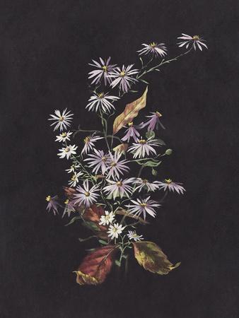 'Nature Focus - Floral Bouquet' Giclee Print - The Drammis Collection ...