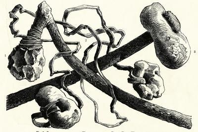 'The Early Flint Weapons' Giclee Print | AllPosters.com