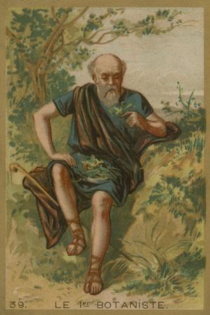 The First Botanist Giclee Print | AllPosters.com