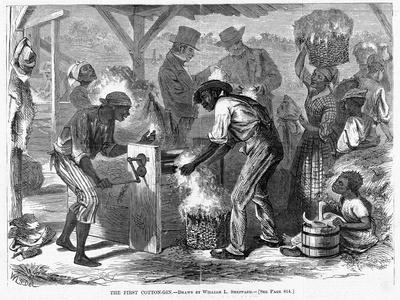 'The First Cotton-Gin.' Giclee Print | AllPosters.com