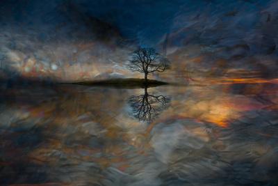 'The First Dawn' Photographic Print - Doug Chinnery | AllPosters.com