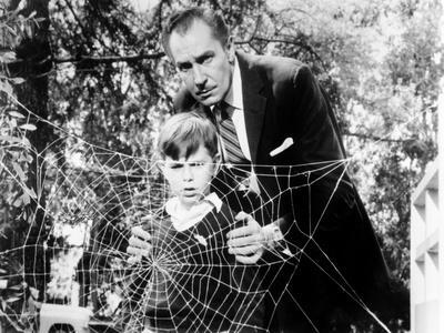 'The Fly, Charles Herbert, Vincent Price, 1958, Spider Web' Photo ...