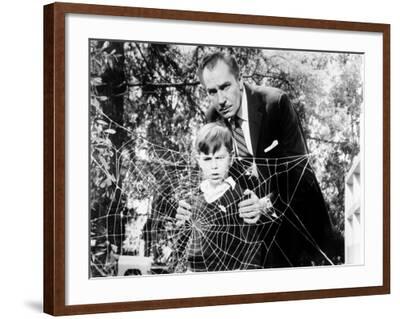 'The Fly, Charles Herbert, Vincent Price, 1958, Spider Web' Photo ...