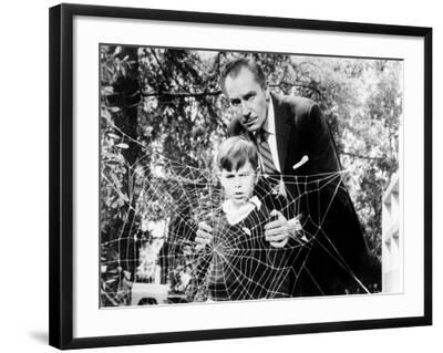 'The Fly, Charles Herbert, Vincent Price, 1958, Spider Web' Photo ...