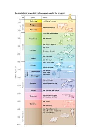 'The geologic time scale from 700,000,000 years ago to the present ...