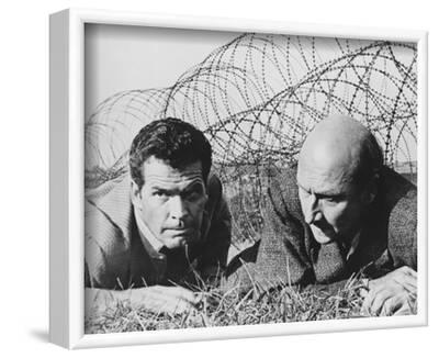 'The Great Escape' Photo | AllPosters.com