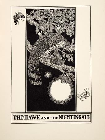 'The Hawk and the Nightingale, from A Hundred Fables of Aesop, Pub.1903 ...