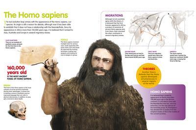 'The Homo sapiens.' Photographic Print | AllPosters.com