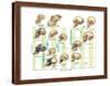 'The Increase in Hominid Cranial Capacity over Time. Evolution' Posters ...