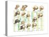 'The Increase in Hominid Cranial Capacity over Time. Evolution' Posters ...