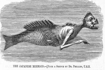 'The Japanese Mermaid. from a Sketch by Dr. Phillips, U.S.N.' Giclee ...