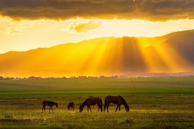 'The Landscape of Xinjiang Uyghur Autonomous Region in China ...