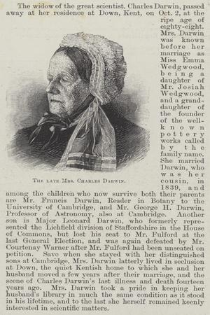 'The Late Mrs Charles Darwin' Giclee Print | AllPosters.com