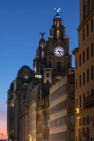 'The Liver Building at night, Water Street, Liverpool' Photographic ...