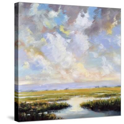 'The Marsh' Stretched Canvas Print - Robert Seguin | AllPosters.com