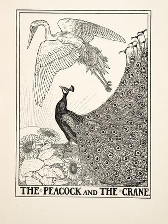 'The Peacock and the Crane, from A Hundred Fables of Aesop, Pub.1903 ...