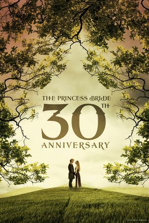 'The Princess Bride 30th Anniversary' Prints | AllPosters.com