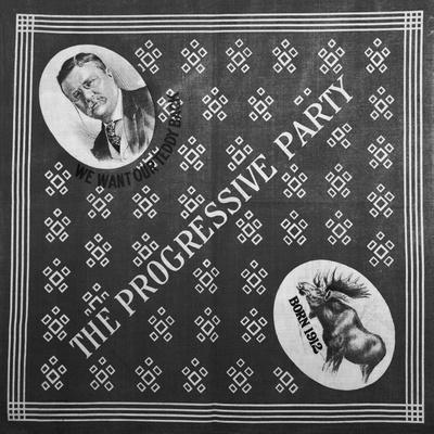 The Progressive Party Election Banner Giclee Print | AllPosters.com