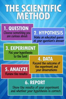 Affordable For High School Students Posters for sale at AllPosters.com