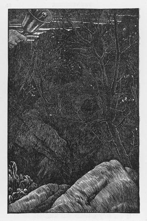 'The Snark was a Boojum' Posters - Henry Holiday | AllPosters.com