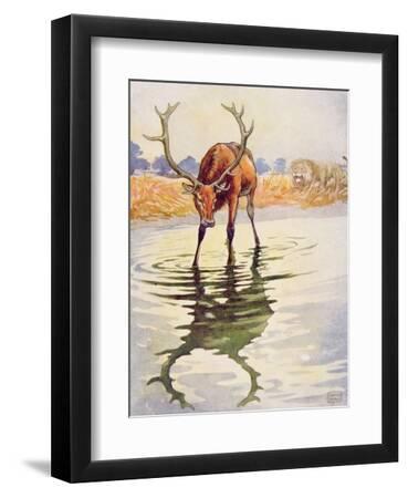 'The Stag and its Reflection from 'Aesop's Fables', Pub. by Raphael ...