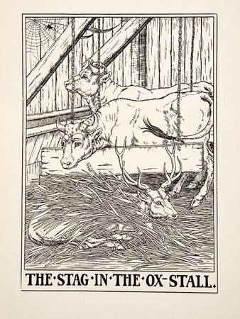 'The Stag in the Ox Stall, from A Hundred Fables of Aesop, Pub.1903 ...