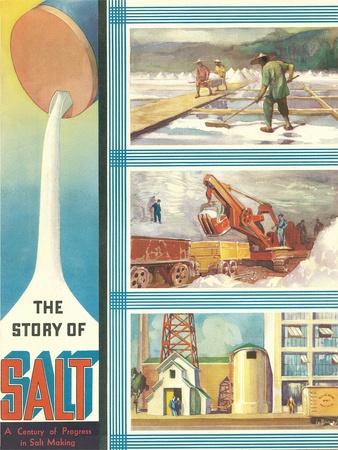 'The Story of Salt' Poster | AllPosters.com