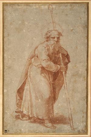 'The Twelve Apostles: St. Matthias, 1518-20 (Chalk on Paper)' Giclee ...
