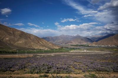 'The Valley, Lhasa, Tibet (Photo)' Giclee Print | AllPosters.com