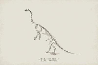 Anchisaurus Giclee Print - The Vintage Collection | AllPosters.com