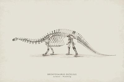 'Brontosaurus' Giclee Print - The Vintage Collection | AllPosters.com