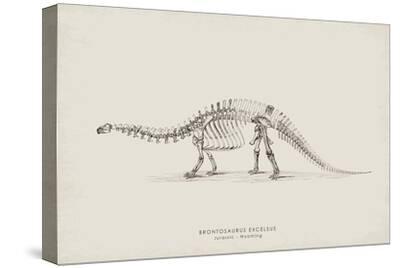 'Brontosaurus' Stretched Canvas Print - The Vintage Collection ...
