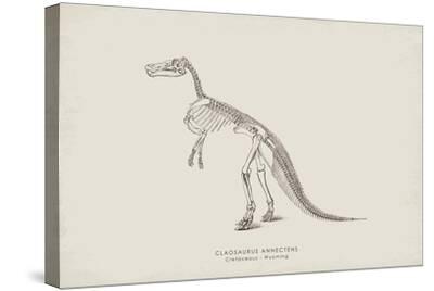 'Claosaurus' Stretched Canvas Print - The Vintage Collection ...