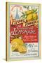 'Eiffel Tower Concentrated Lemonade, 1900' Giclee Print - The Vintage ...