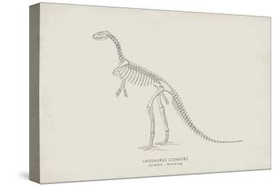 'Laosaurus' Stretched Canvas Print - The Vintage Collection ...
