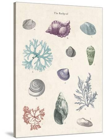 'The Rockpool' Stretched Canvas Print - The Vintage Collection ...