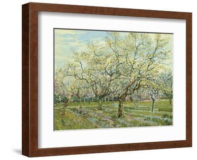 'The White Orchard, 1888' Posters - Vincent van Gogh | AllPosters.com
