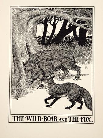 'The Wild Boar and the Fox, from A Hundred Fables of Aesop, Pub.1903 ...