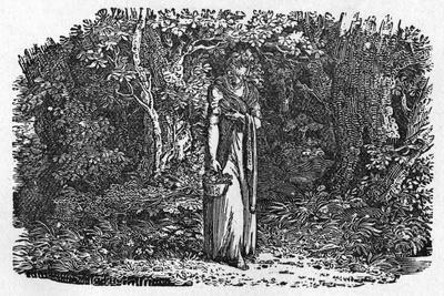 Crazy Jane - Thomas Bewick | AllPosters.com