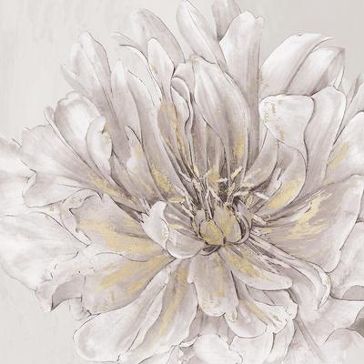 Pristine Petals - Tranquil Giclee Print - Thomas Hazlehurst ...